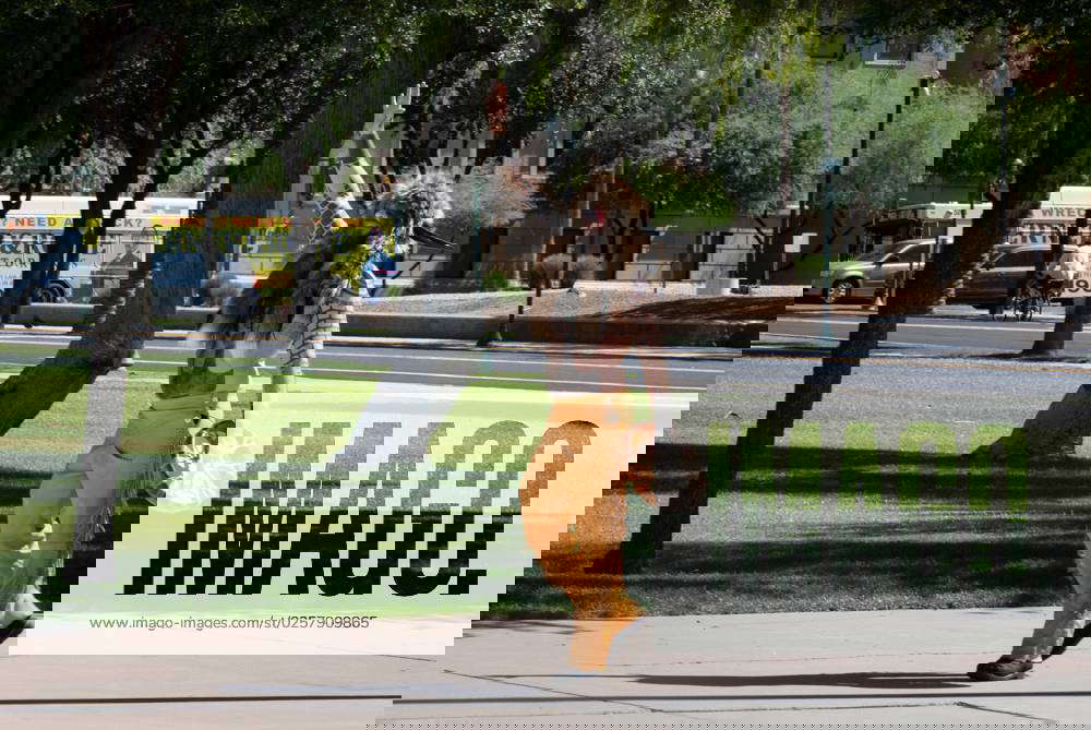 Syndication: Arizona Republic Jake Angeli, known as the QAnon Shaman ...