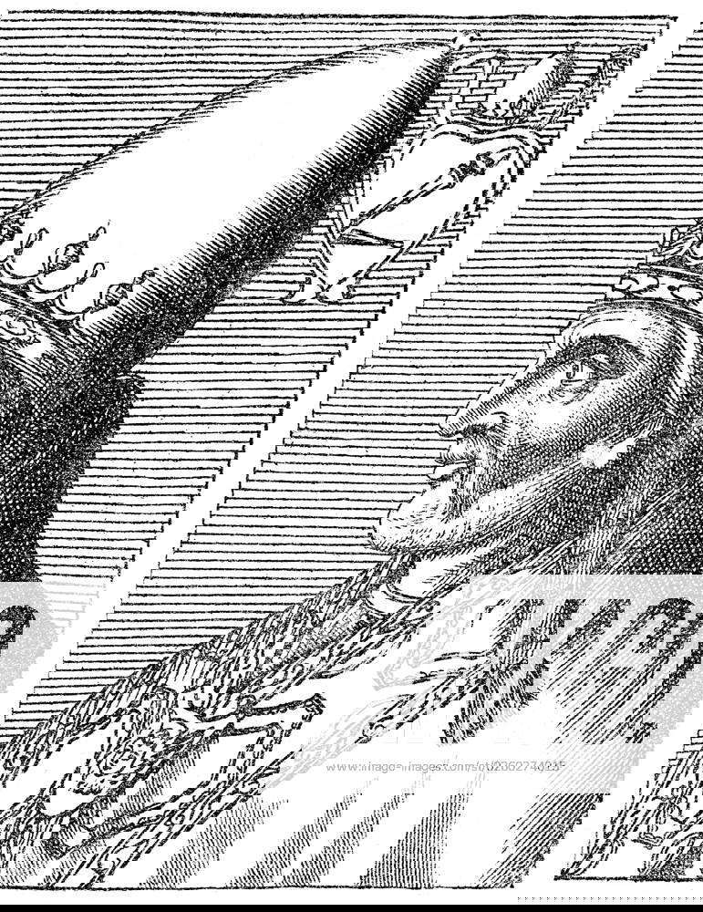 Pope Symmachus Pope Symmachus, Papst