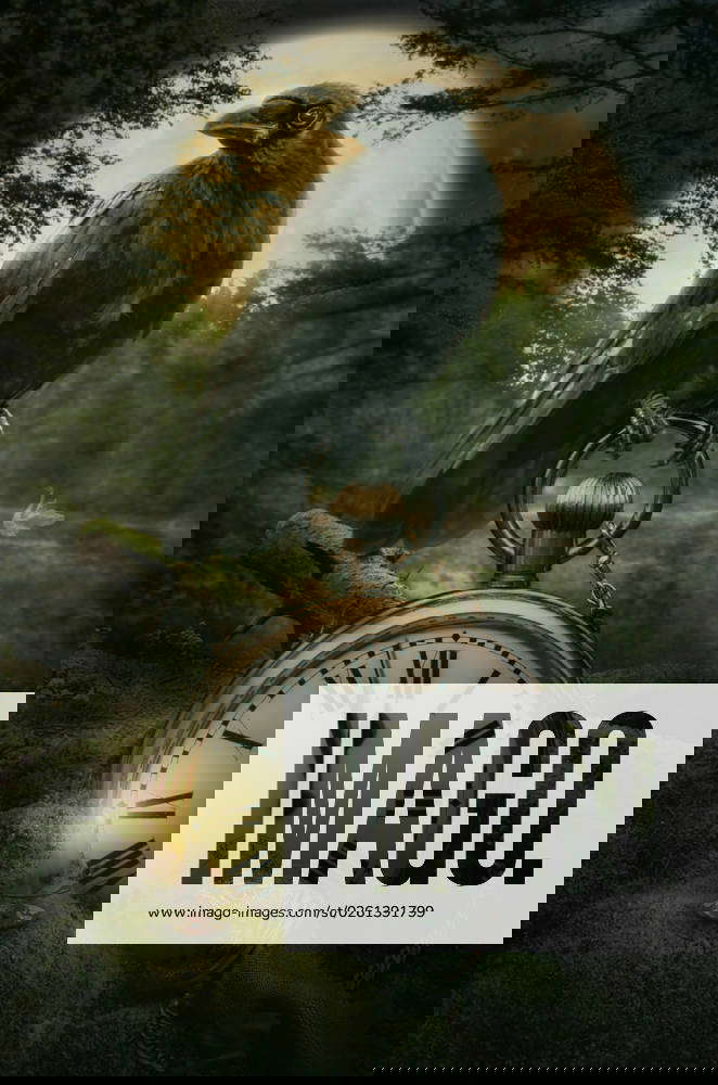 Fairy raven guardian of time fairy raven guardian of time and keeper of ...