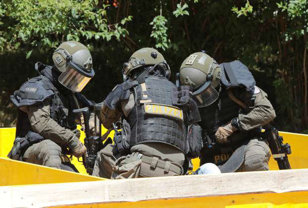 Police officers of the Intervention Unit Scorpion of the Zurich City ...