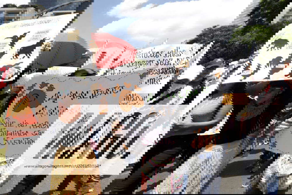 Animal Rights March In Mexico City Thousands of people participated in ...