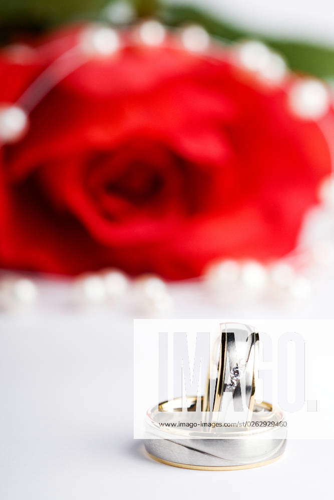 Hochzeitsringe, Eheringe zwei eheringe vor einer roten rose und einer