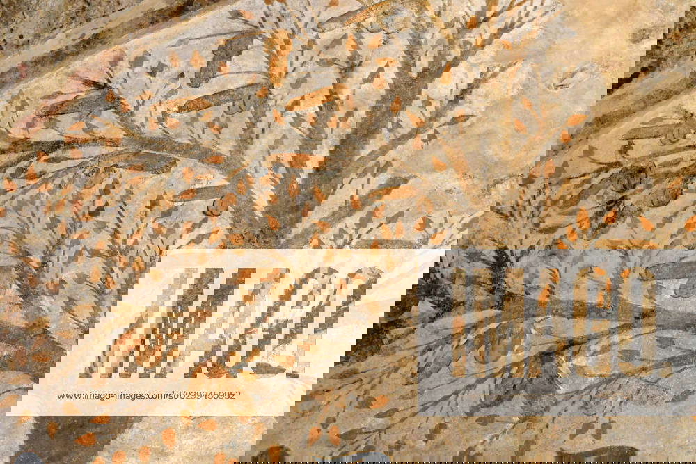 The Tree of Fertility Medieval Erotic Fresco in Tuscany The ˜Tree of ...