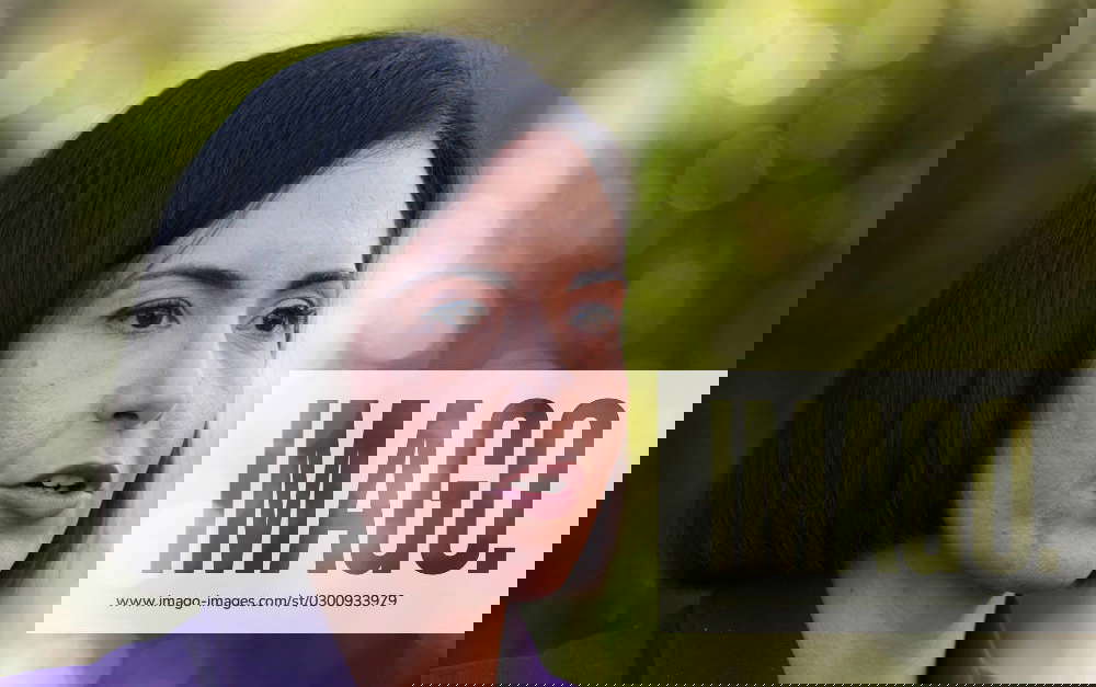 PRUE CAR PRESSER, NSW deputy premier Prue Car speaks to media during a ...