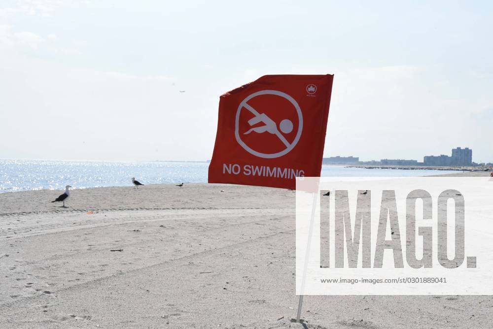 Shark Attacks In New York City S Rockaway And Long Island Beaches New