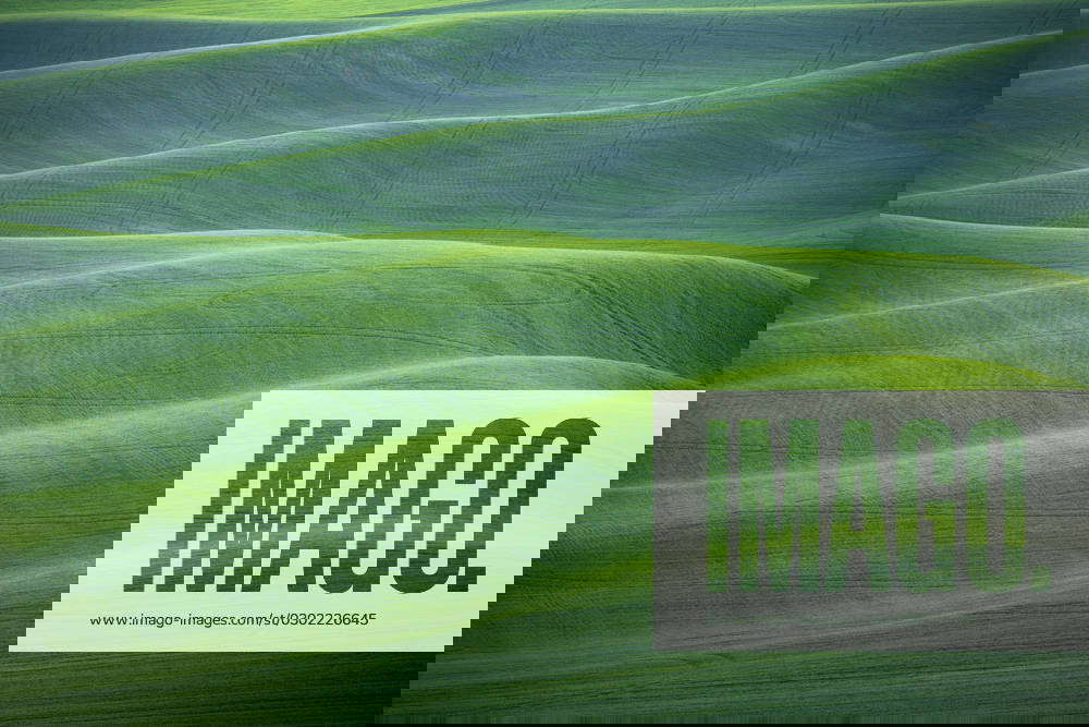 USA, Washington, Palouse. Rolling spring wheat fields