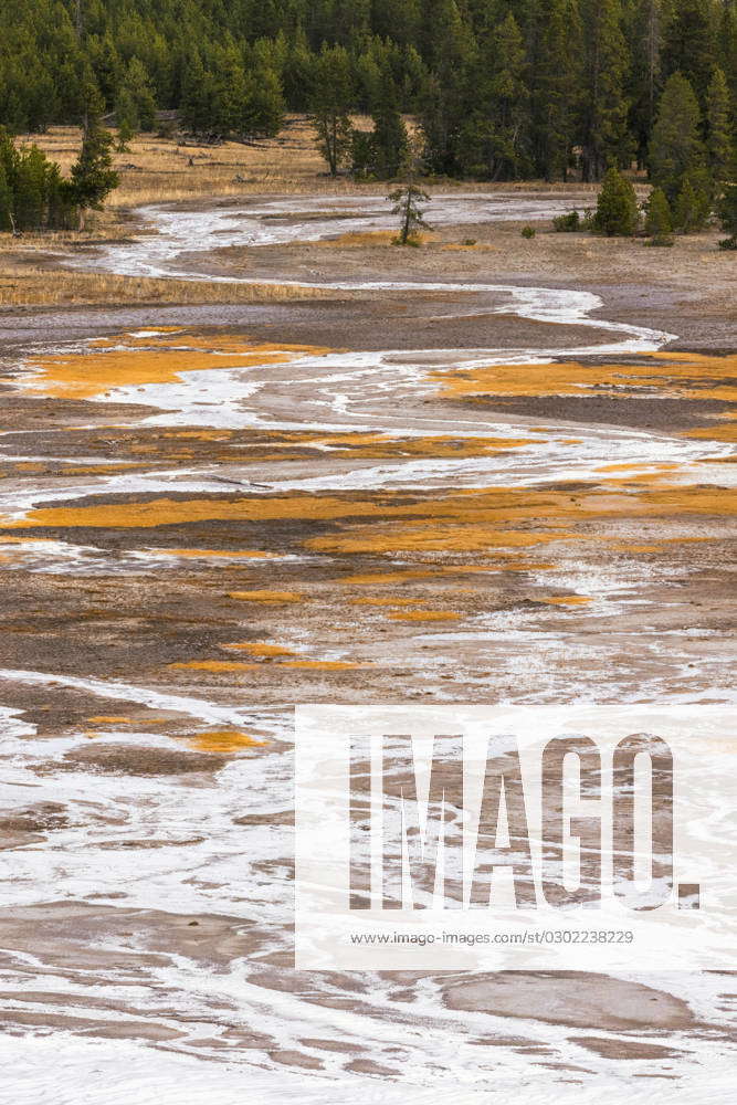 Elevated view of runoff water and bacterial mat, Grand Prismatic spring ...