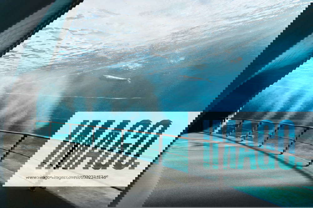 Empty interior of the oceanarium in Genoa Italy, sunlight, no on Genoa ...