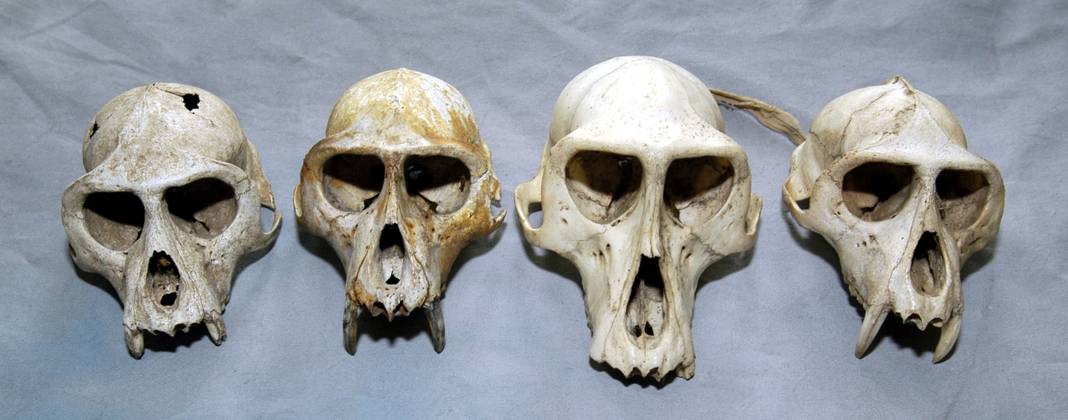 OLD BAILEY 19.03.04 *CUSTOMS AND EXCIS OLD BAILEY 19.03.04 *CUSTOMS AND ...