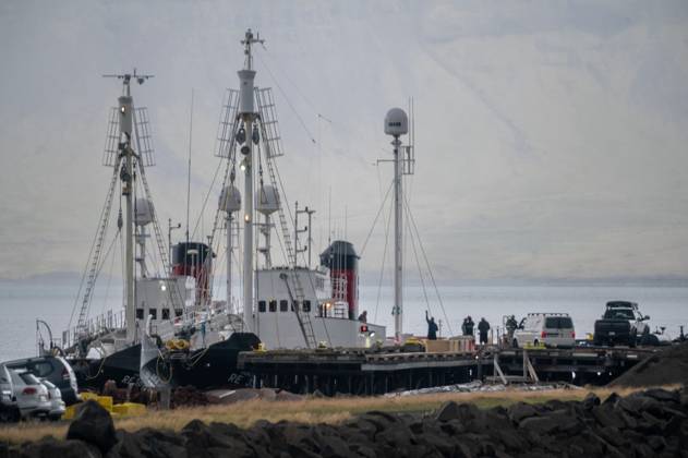 Die beiden Walfangschiffe HVALUR 8 und HVALUR 9 des ...