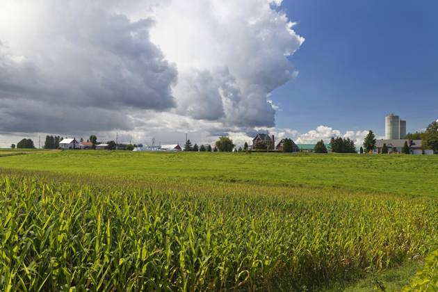 Agriculture, Building, Cornfield, Farmland, Province Quebec, Canada ...