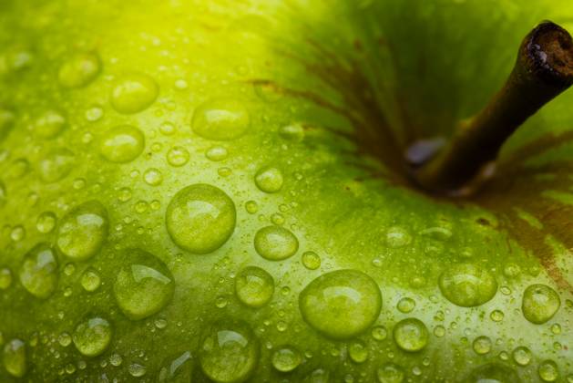 Micro close up of green apple with water drops and copy space on black ...