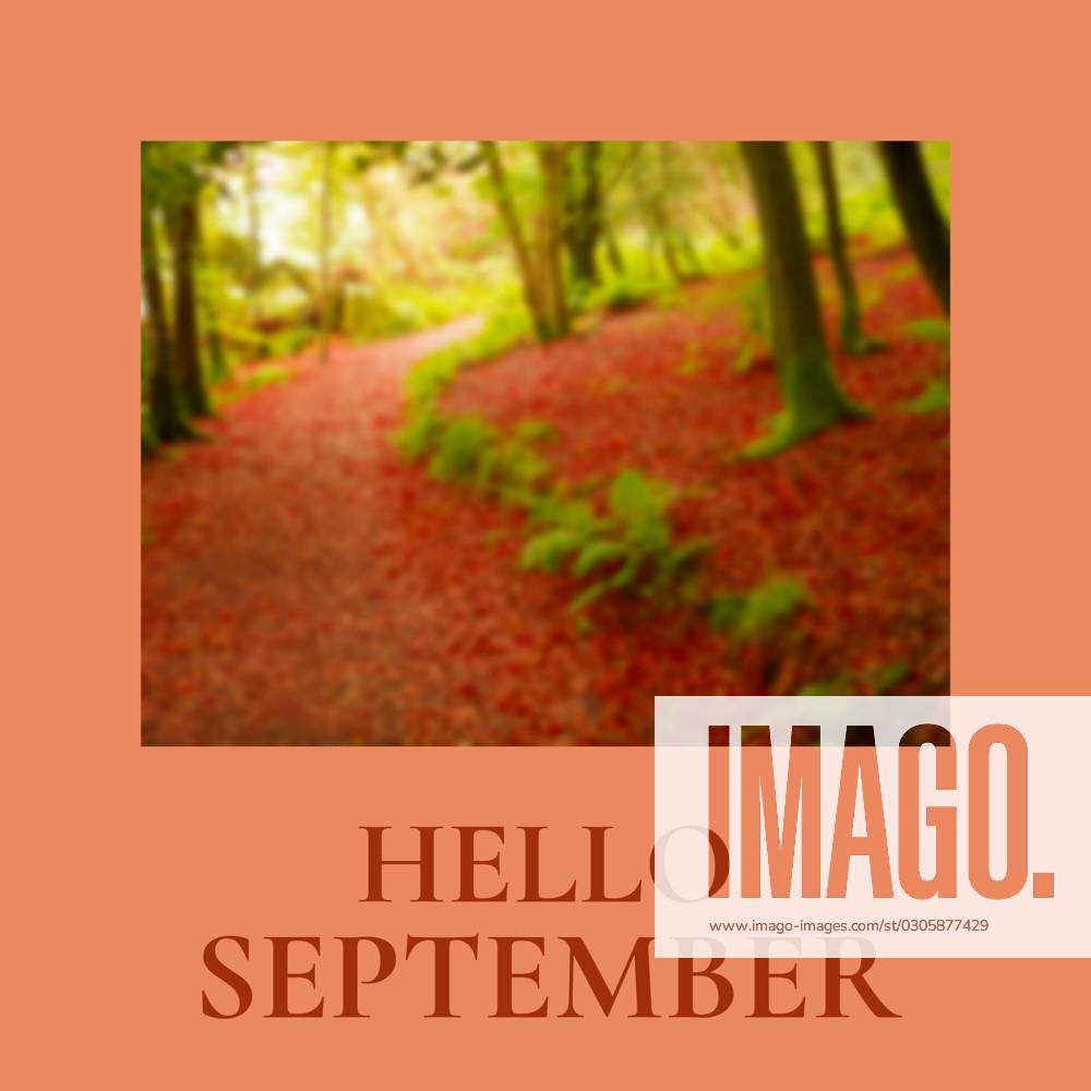 Hello September Wallpaper
