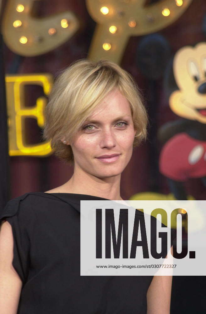 At the premiere of Warner Brothers Insomnia at the El Capitan Theater ...