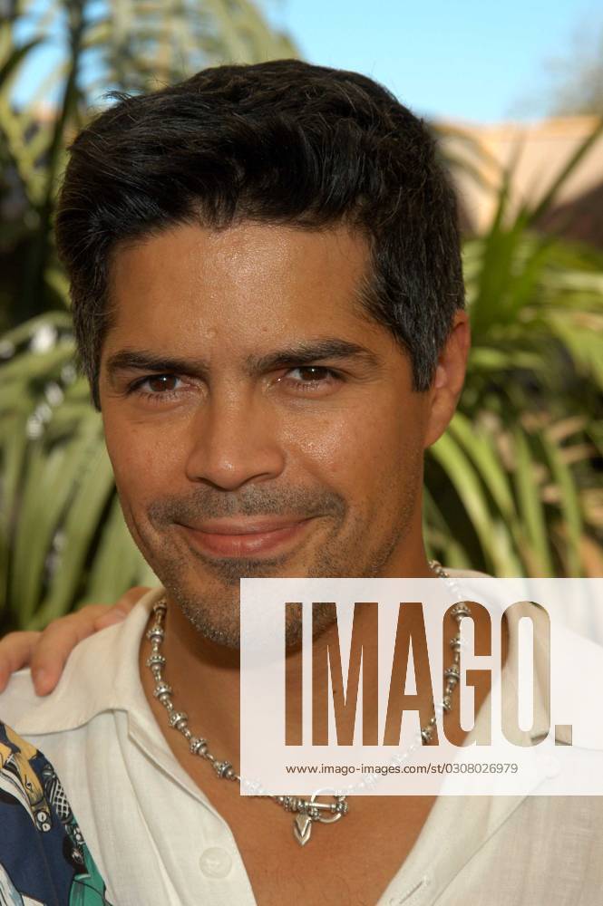 At the ABC Primetime Preview Weekend -- Day Two, Disney s California ...