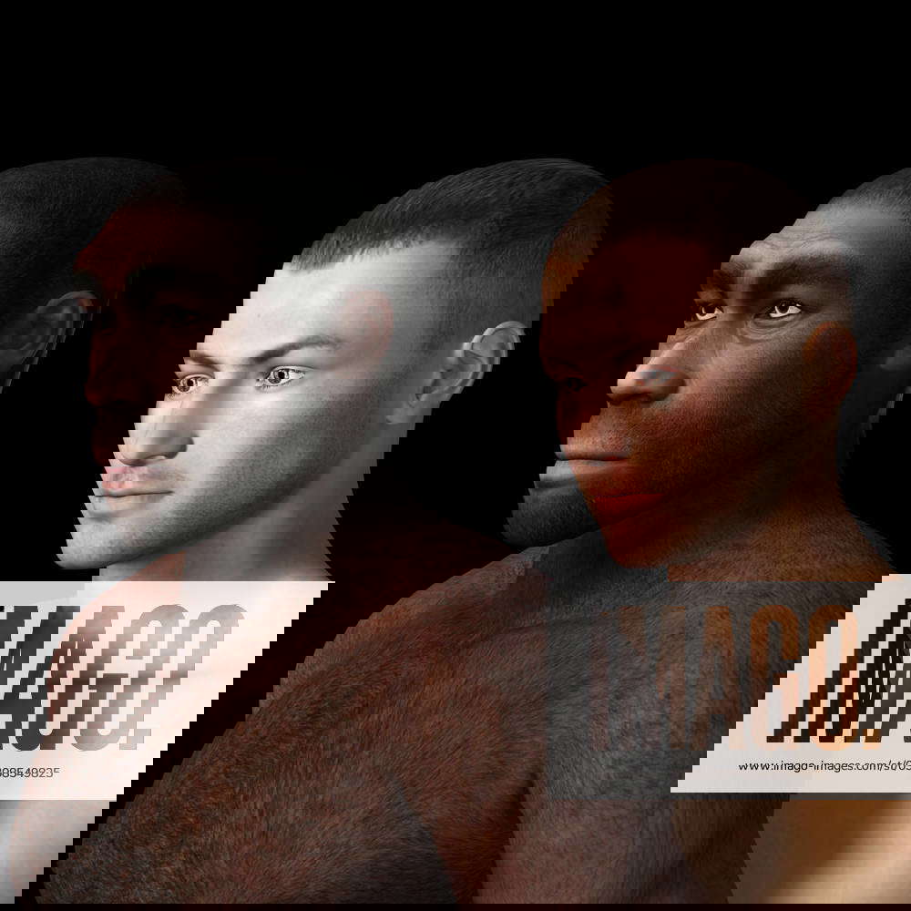 Homo Erectus Digital Illustration of a Homo Erectus