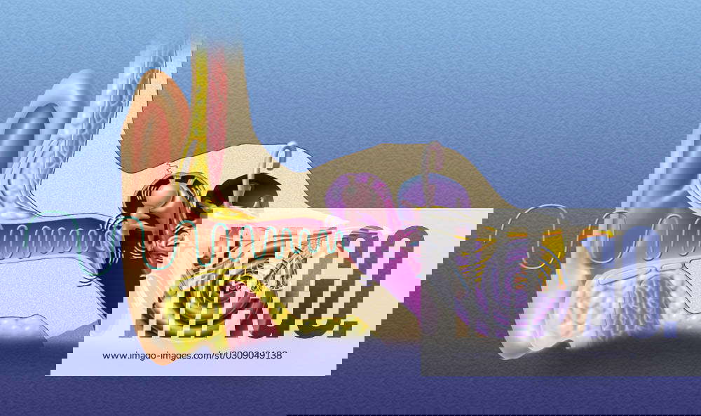 Ear, drawing Anatomy of the ear, from left to right: - Outer ear ...