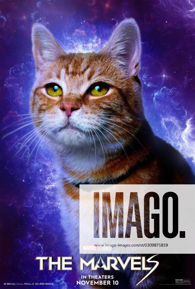 THE MARVELS, (aka CAPTAIN MARVEL 2), US character poster, Goose the ...