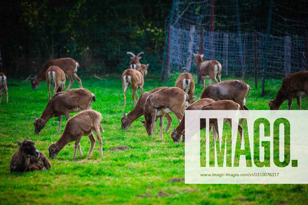 23 10 2023, Palting, AUT, On the road in Upper Austria, theme image ...