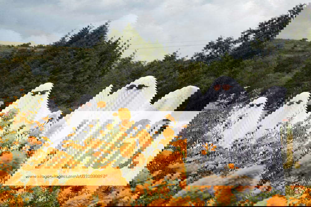 Ghosts In Cempasuchil Field For Day of the Dead Celebrations October 26 ...