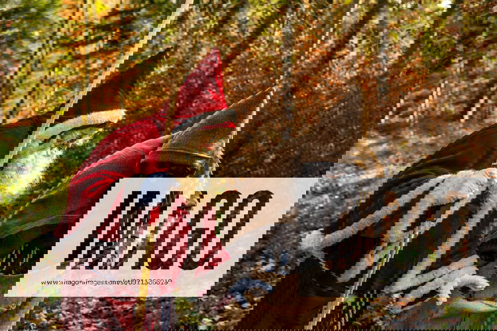 Samichlaus and Schmutzli from St St. Nicholas Society the City Zurich ...