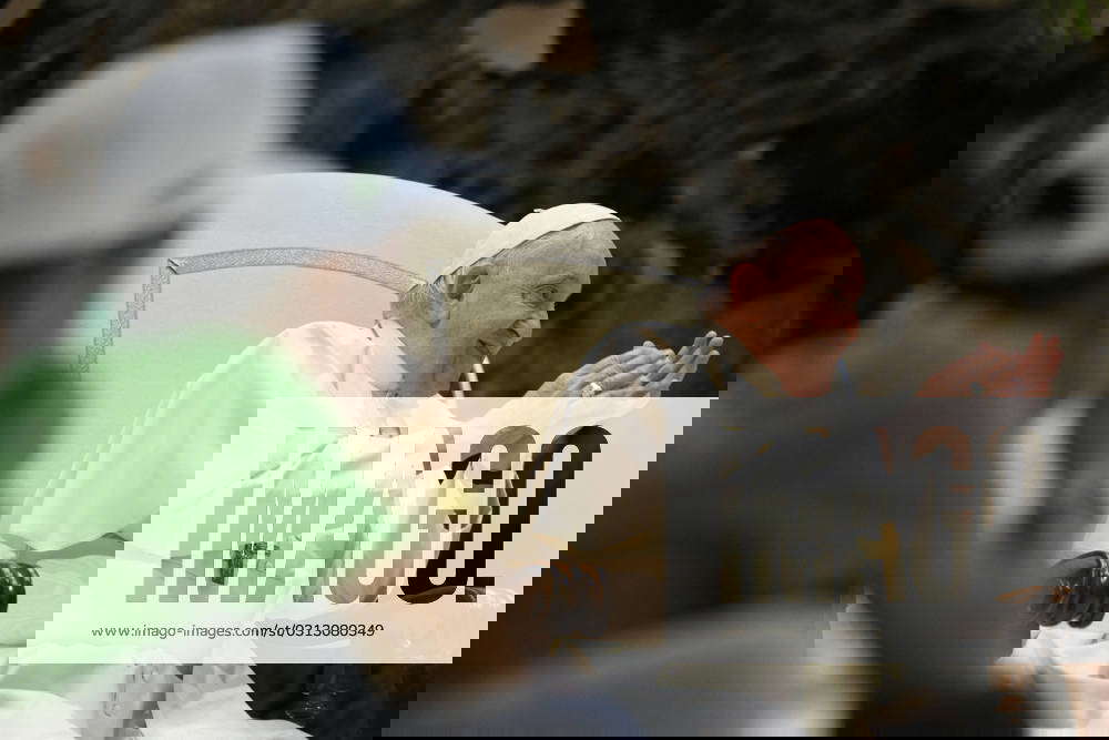 Pope Francis Meets Children From All Over The World - Vatican Pope ...