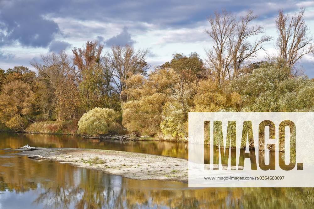 Autumn in the Aue, View from the Wörlitz Railway bridge at Dessau Rosslau at the River Trough