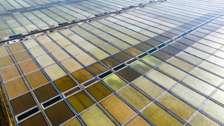 Salt Field in Yancheng YANCHENG, CHINA - Colorful salt fields in ...