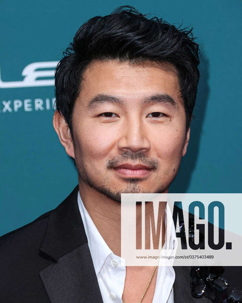 21st Annual Unforgettable Gala Asian American Awards - LA Canadian ...