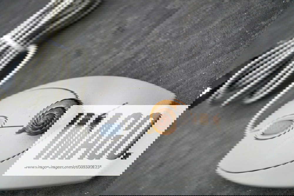 Snail at Computer mouse, Symbol image slower PC snail ON Computer mouse ...