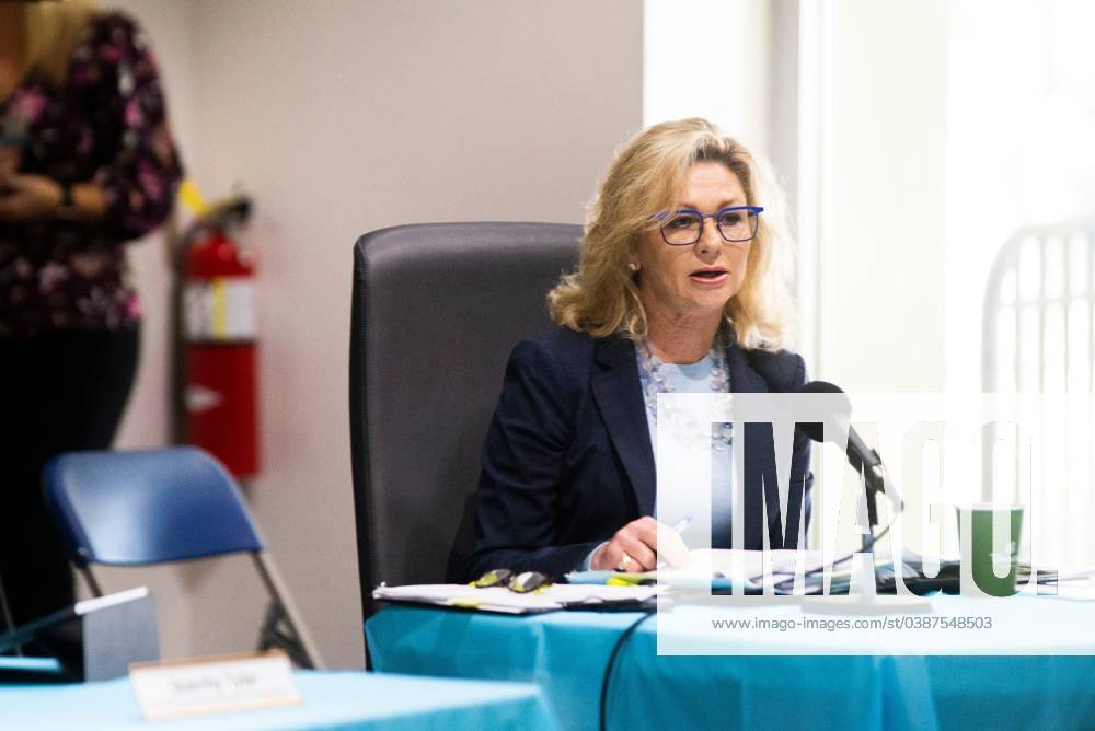 Syndication: Naples Daily News, Mayor Teresa Heitmann speaks at the ...