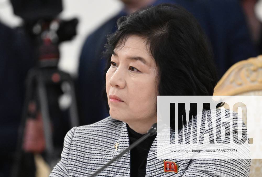 Russia North Korea 8598782 16.01.2024 North Korean Foreign Minister ...