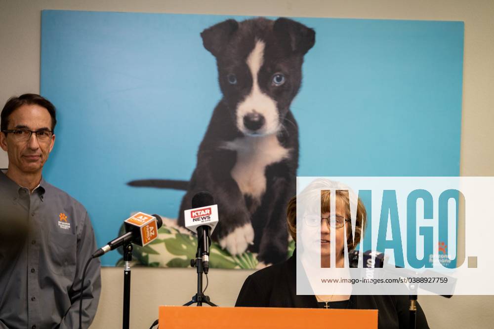 Syndication: Arizona Republic Steven Hansen, president and CEO of the ...