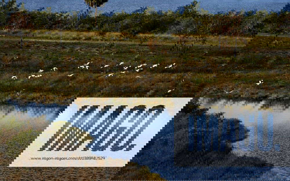 January 17, 2024, Ruskin, Florida, USA: A view toward the water at ...