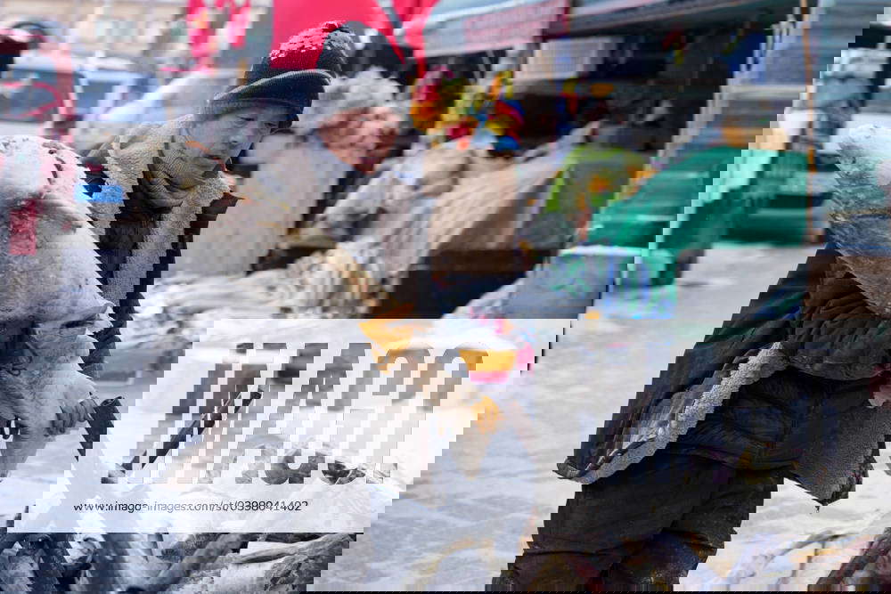 (240131) -- FUYUAN, Jan. 31, 2024 -- A vendor carries frozen fish at ...