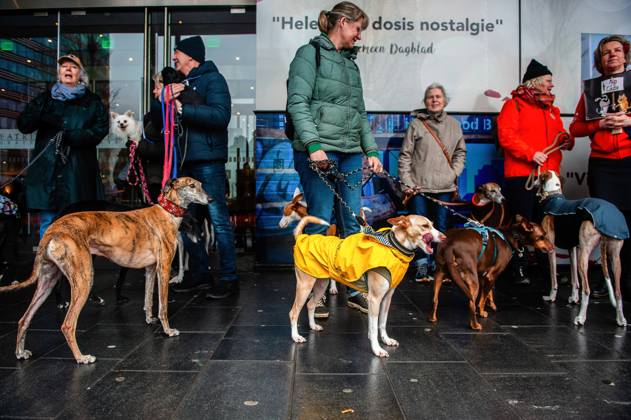 Protest against the abuse of hunting dogs in Spain organized in Utrecht ...