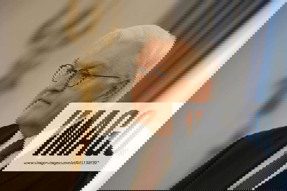 Federal President Frank Walter Steinmeier, Germany, Berlin, Bellevue ...