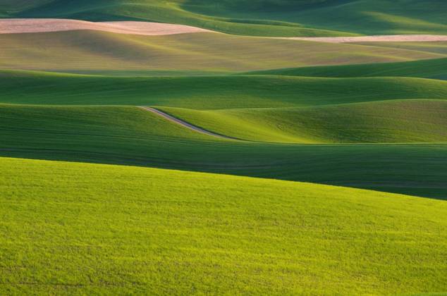USA, Washington, Palouse. Rolling spring wheat fields
