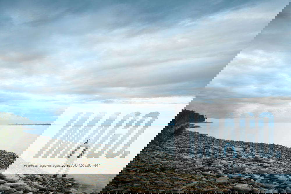 Medium Format C1 Dawn