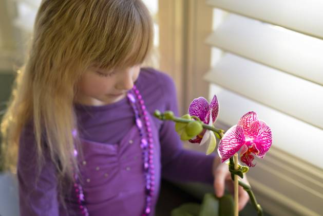 Unknown C1 Sadie Danko - Universal Model Release - Minor