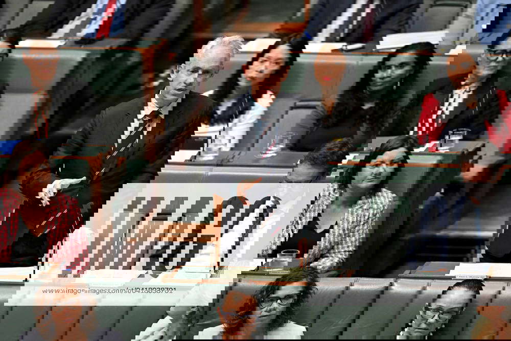 QUESTION TIME, Australian Immigration Minister Andrew Giles speaks ...