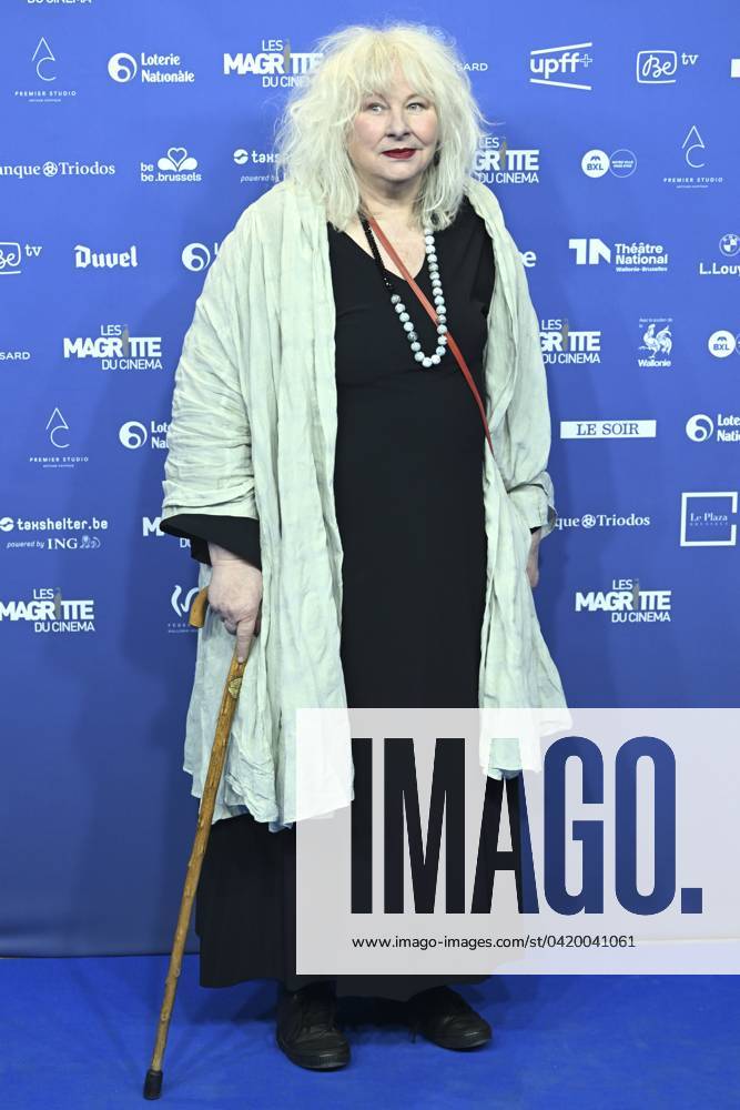 The 13th Magritte Awards Ceremony BRUSSELS, BELGIUM - MARCH 09 ...