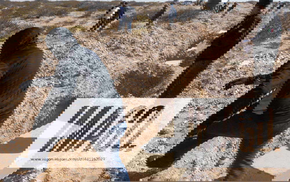 March 15, 2024, Auburn Hills, Michigan, USA: Forensic medical service ...