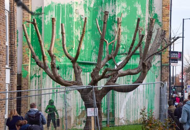Banksy tree artwork vandalised in London, UK - 20 Mar 2024 A council ...