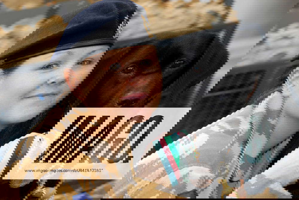 Dog honoured with PDSA Two dogs were honoured today with PDSA Dickin ...