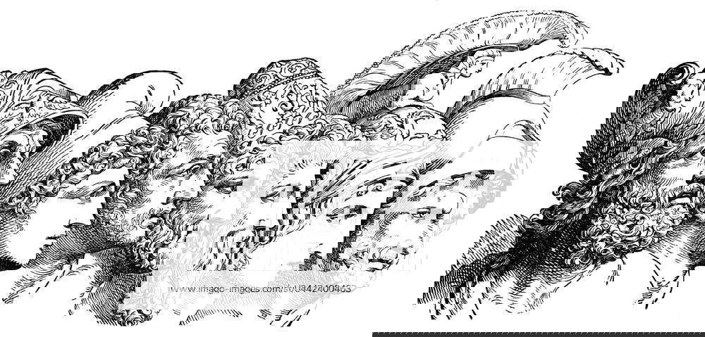 HEROES OF THE TROJAN WAR, c1894. From left: Menelaus, Paris, Diomedes ...