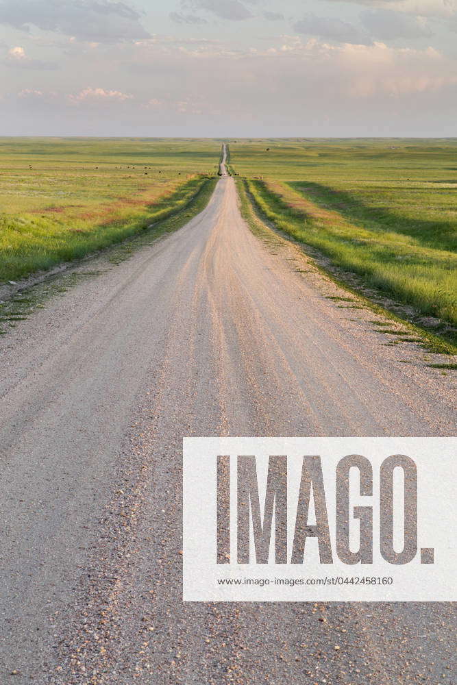 Rural road in eastern Colorado prairie in springtime, Pawnee National ...