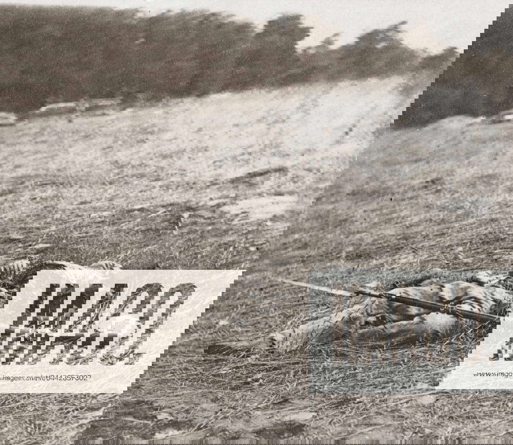 CIVIL WAR: DEAD SOLDIER. Confederate soldier disemboweled by a shell at ...