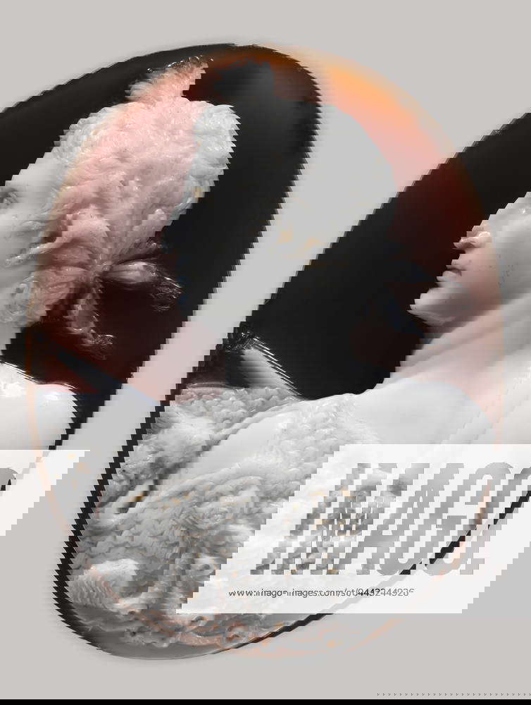 Italy: Sardonyx cameo portrait of Augustus Caesar (63 BCE-14 CE), first ...