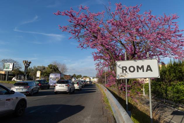 Italy: Welcome to Rome A flowering tree near a road sign indicating the ...